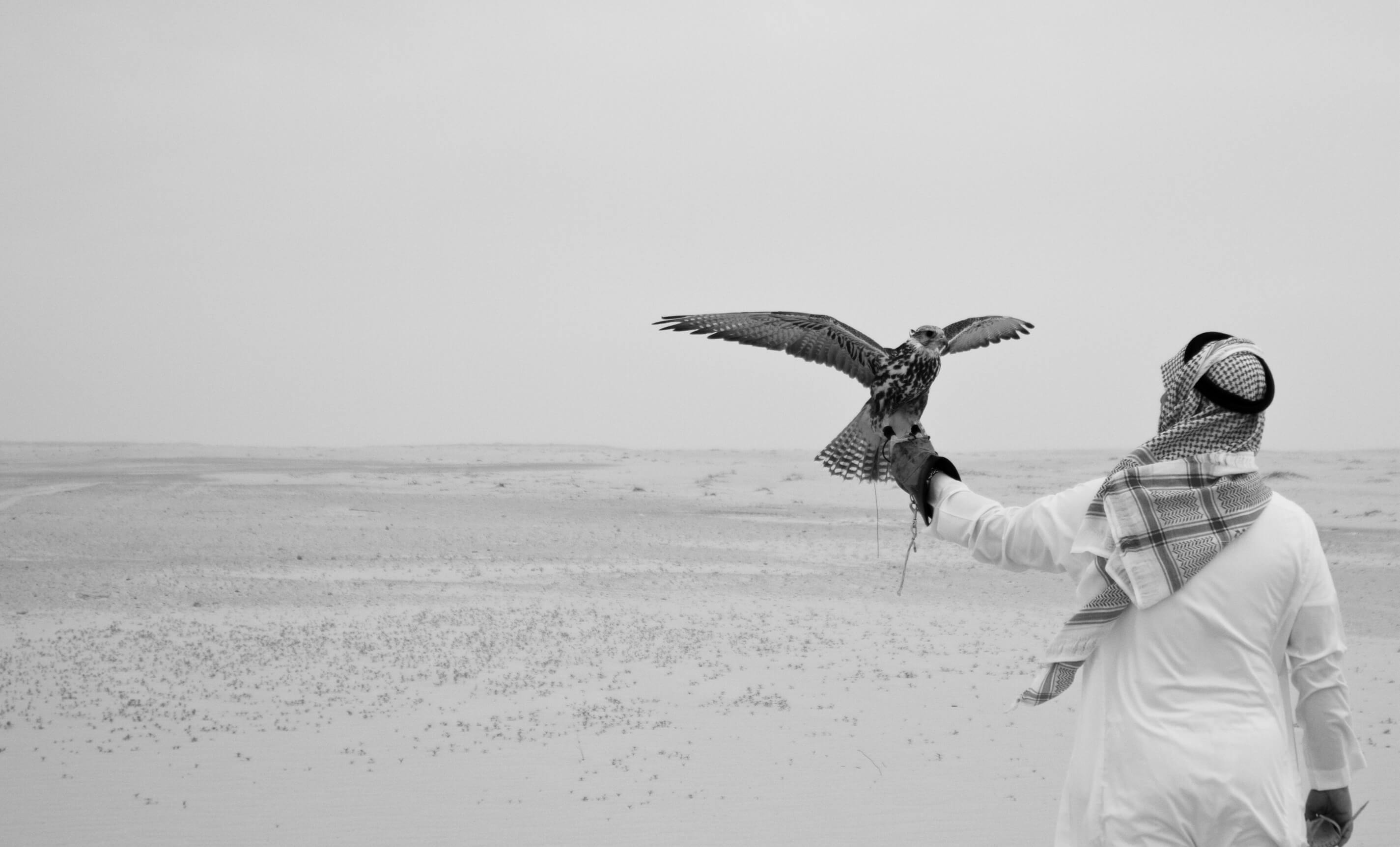 First Abu Dhabi Bank (FAB) - Saudi arabia | Personal & Corporate Banking